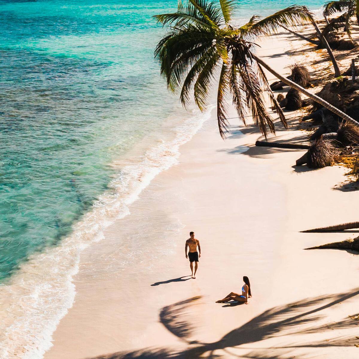 Blog | The Excellence Collection