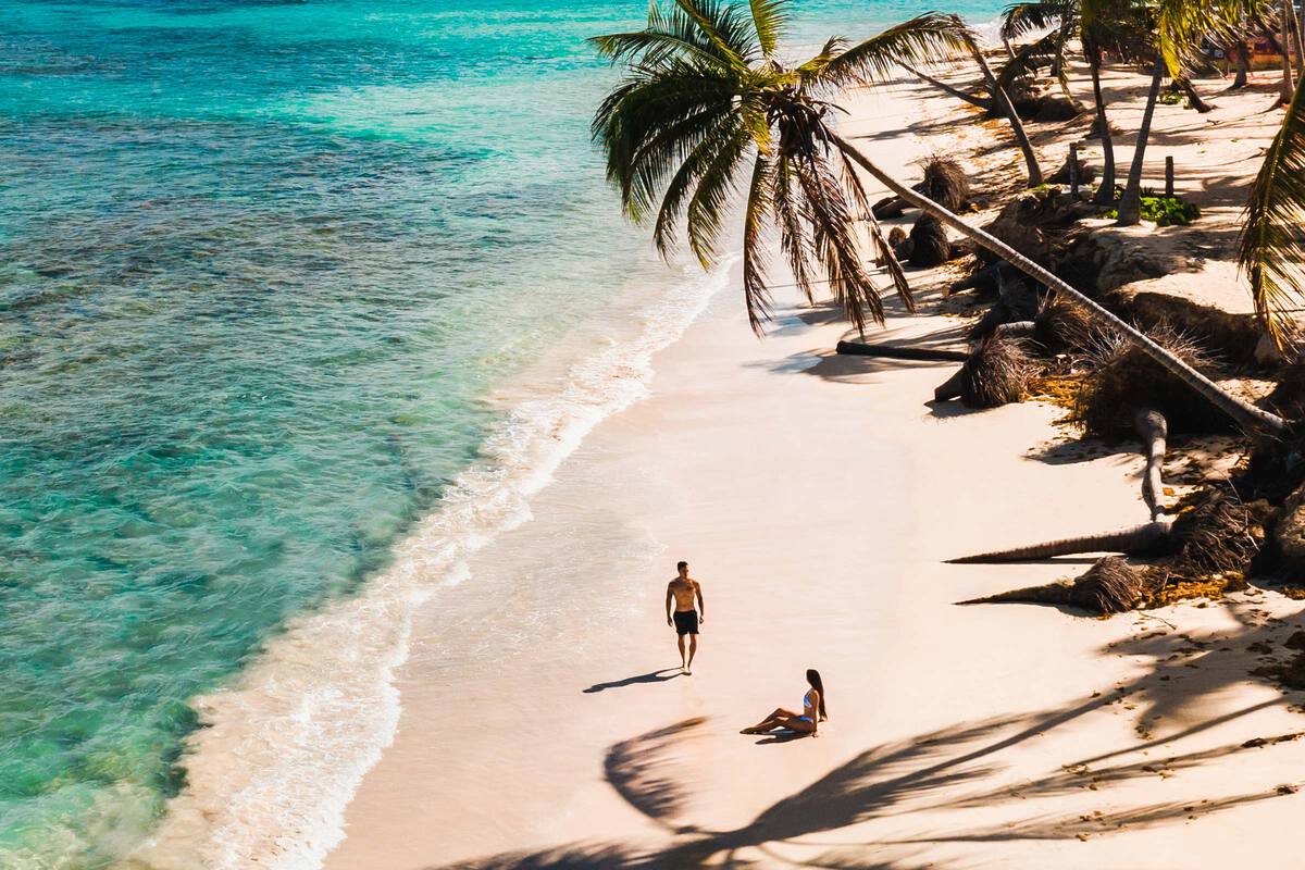 Happy Anniversary November 2024 | The Excellence Collection